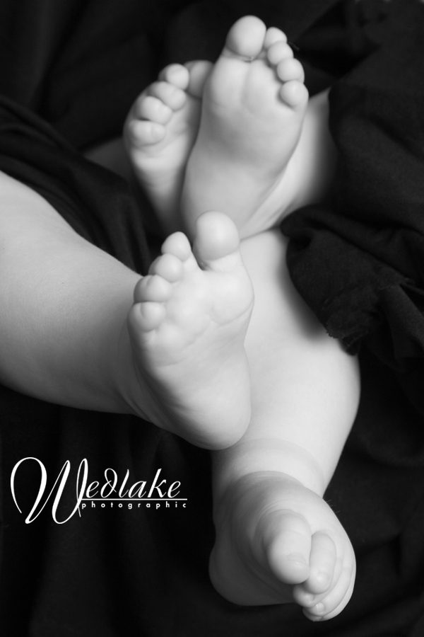twins - denver baby photographer - Wedlake Photographic